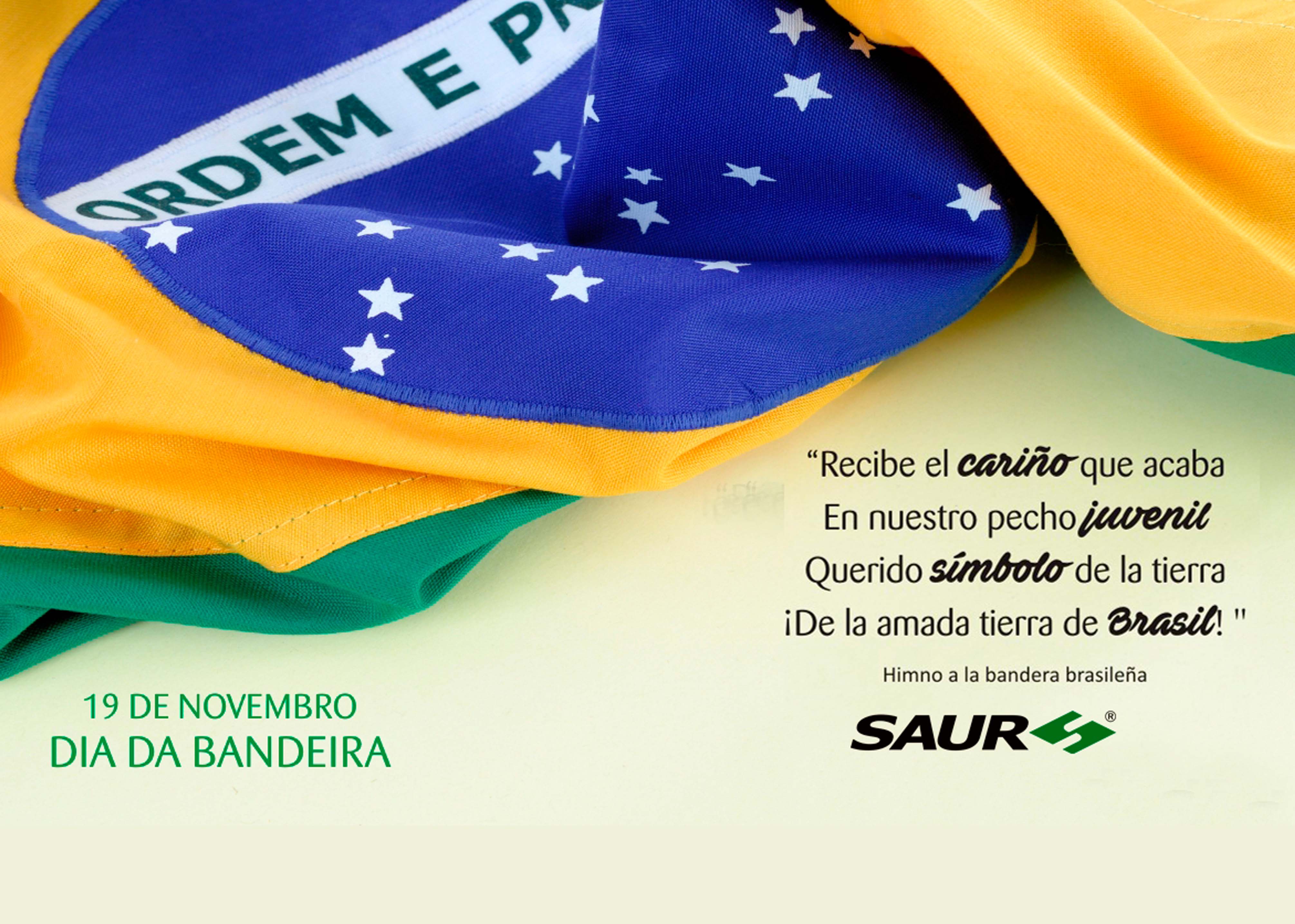 19 de noviembre: Día de la Bandera - Saur